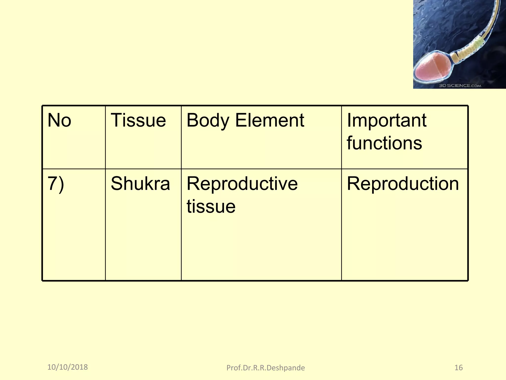 Dhatu sarata ppt | PDF