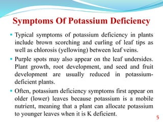 Potassium Deficiency and remedies | PPTX