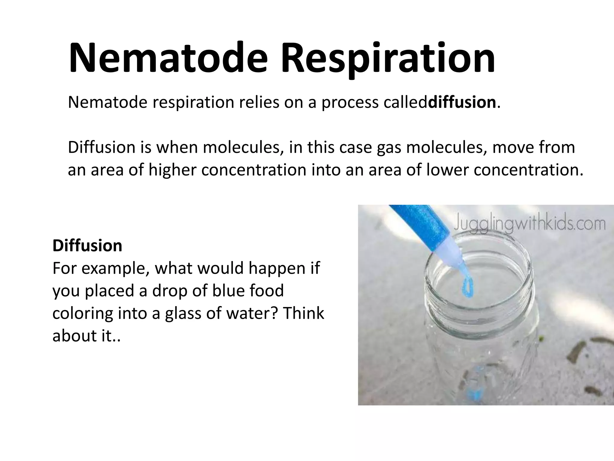 Nematodes in Fisheries | PPTX