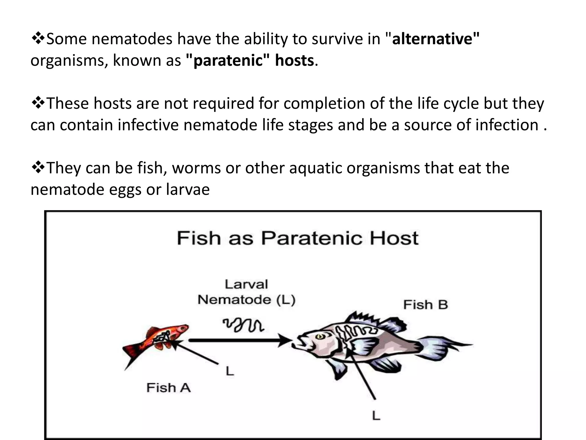 Nematodes in Fisheries | PPTX