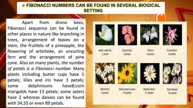 medieval European mathematics | PPT