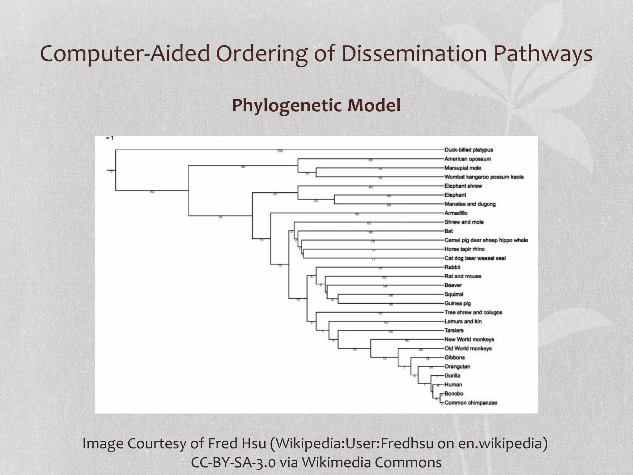 Mapping Implicit Processes Extracting Social Networks From Digital