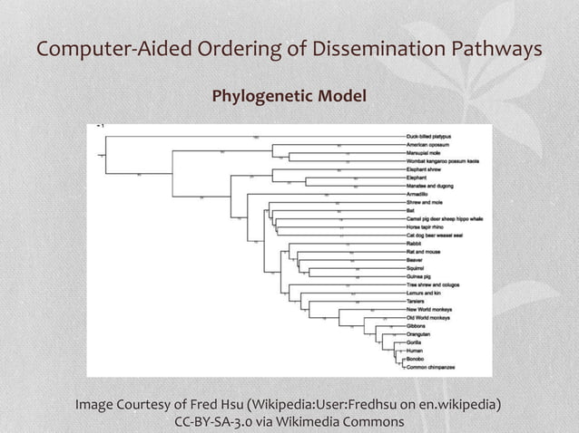 Mapping Implicit Processes Extracting Social Networks From Digital