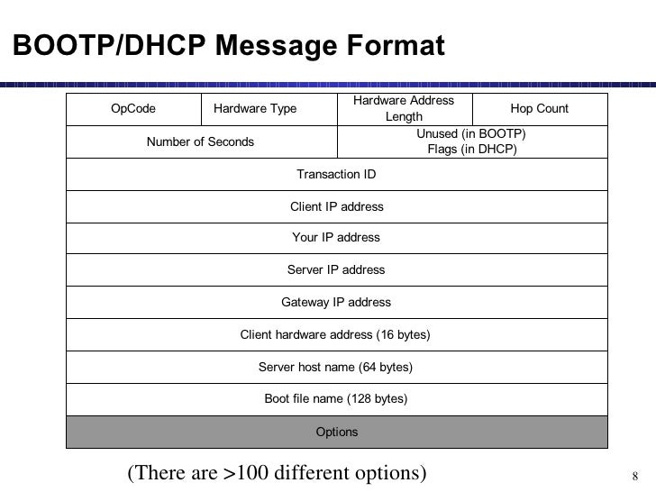 Dhcp