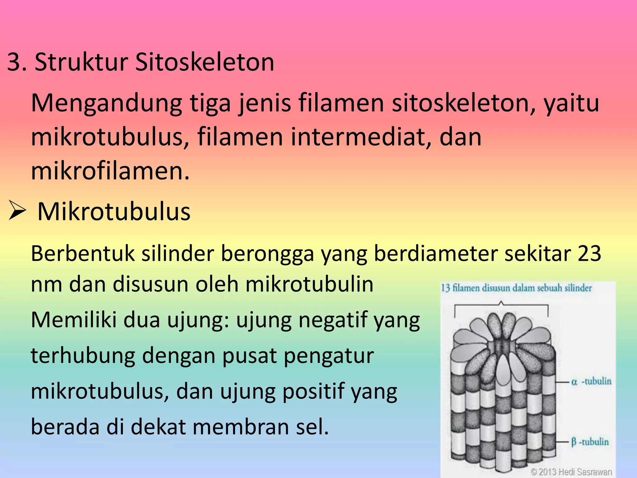sentriol, sentrosom dan sitoskeleton | PPTX