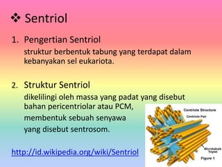 sentriol, sentrosom dan sitoskeleton | PPT