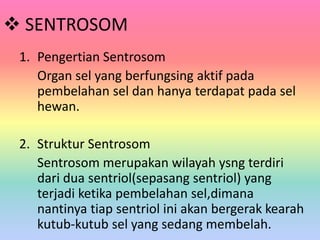 sentriol, sentrosom dan sitoskeleton | PPTX
