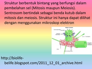 sentriol, sentrosom dan sitoskeleton | PPTX
