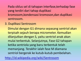 sentriol, sentrosom dan sitoskeleton | PPTX