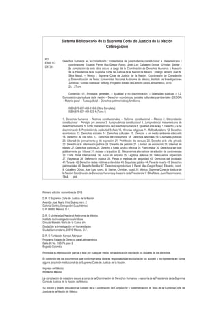 Derechos Humanos en la Constitucion-Comentarios de Jurisprudencia ...