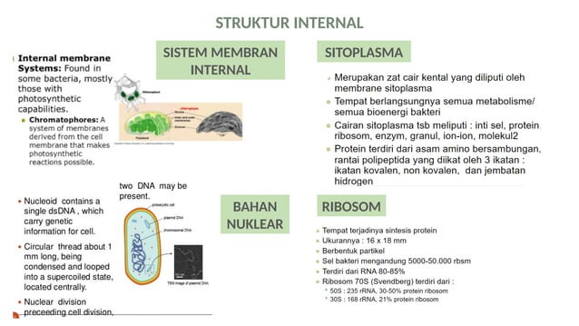 Perakitan Struktur Sel Mikrob_Fisiologi Mikrob.pptx