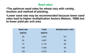 Management of Seed Crops (Wheat) | PPT