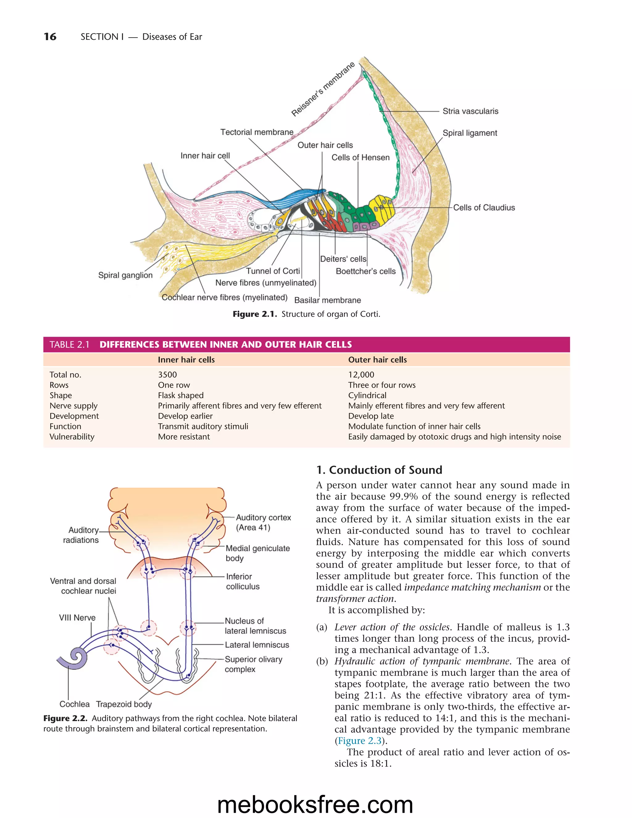 dhingra-ent.pdf | Ear, Nose and Throat Conditions | Diseases and Conditions