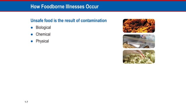 TOPIC 1_PROVIDING SAFE FOOD.pdf | Infectious Diseases | Diseases and ...