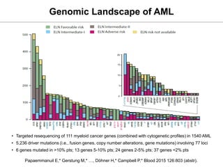 Dr_Döhner aml st. petersburg_04.03.2016