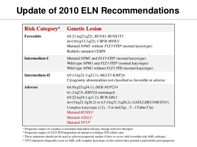 Dr_Döhner aml st. petersburg_04.03.2016