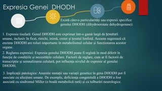 DHODH-6.pptx