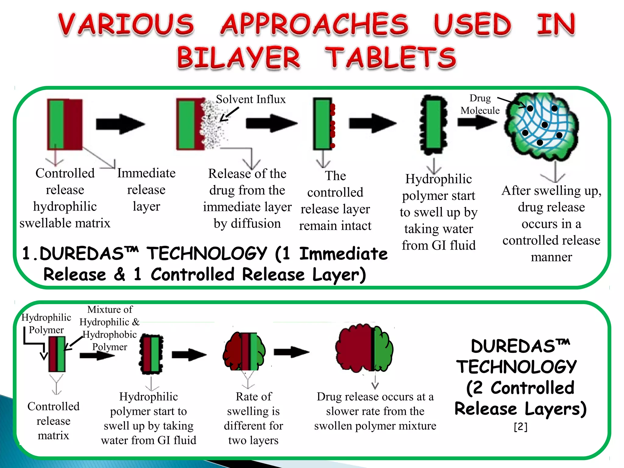 Dhruti Avlani - Bilayer Tablet | PPT