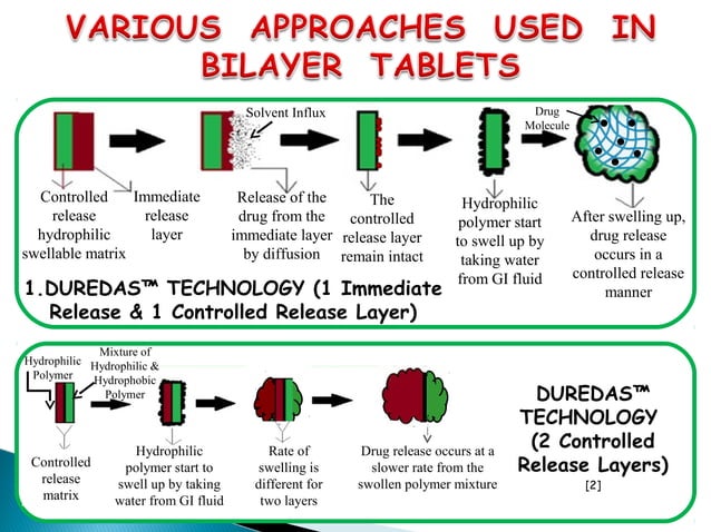 Dhruti Avlani - Bilayer Tablet | PPT