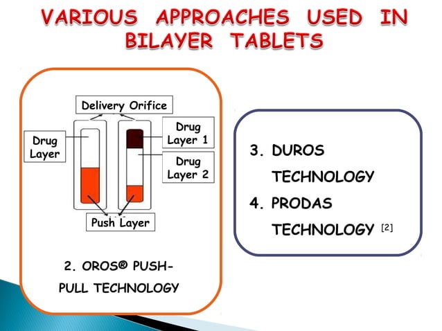 Dhruti Avlani - Bilayer Tablet | PPT