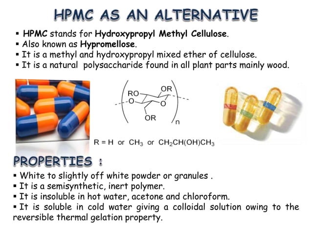 Dhruti Avlani - HPMC Capsules | PPTX
