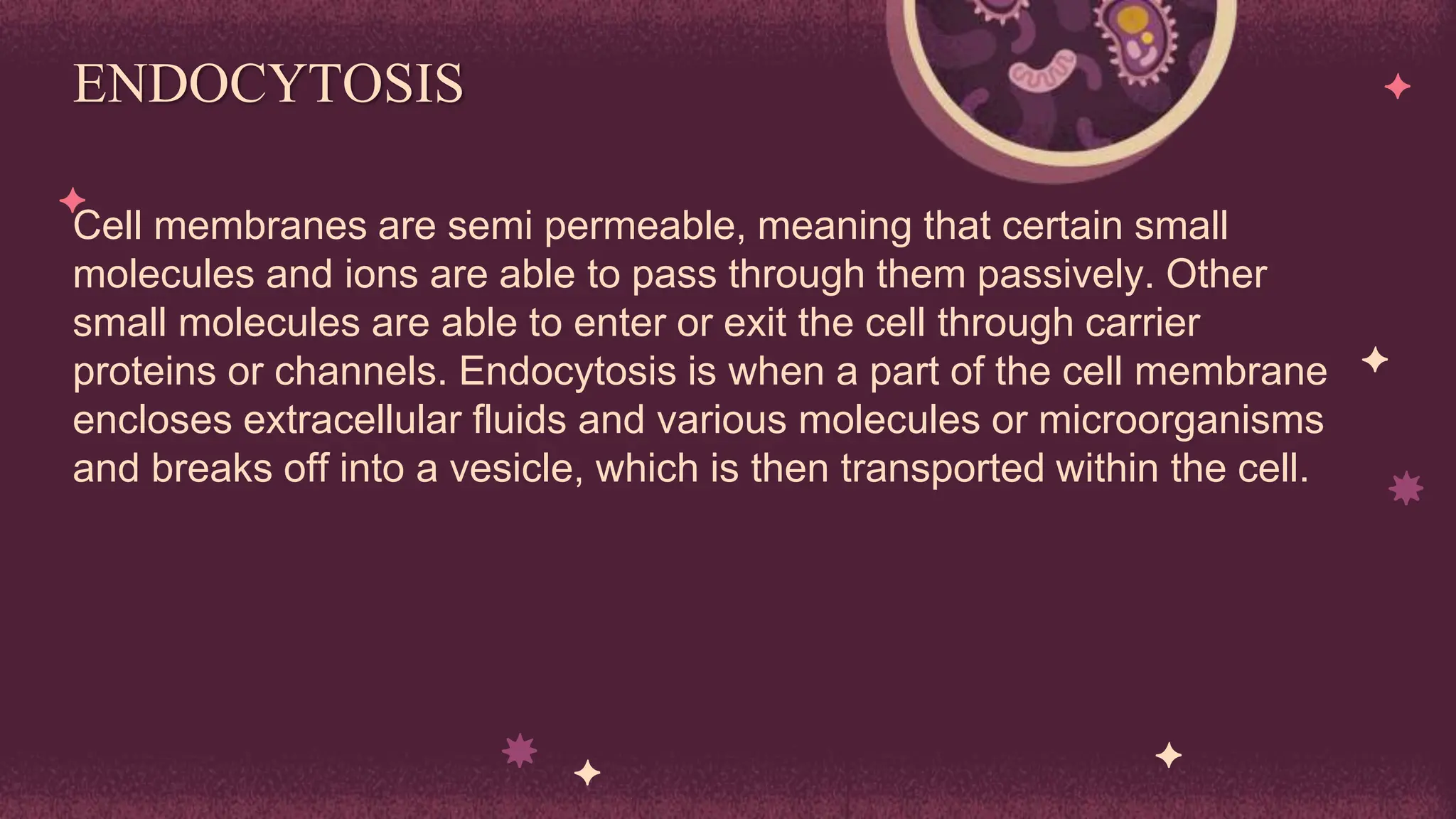 endocytosis and exocytosis vvvvvvvvvvvvv | PPTX
