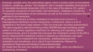 endocytosis and exocytosis vvvvvvvvvvvvv | PPTX