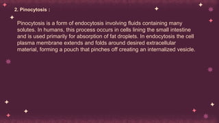 endocytosis and exocytosis vvvvvvvvvvvvv | PPTX | Blood Disorders ...