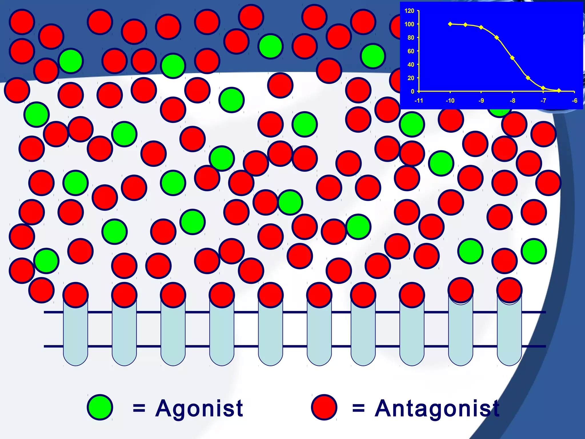 Combined effects of Drugs, Pharmacology | PPT