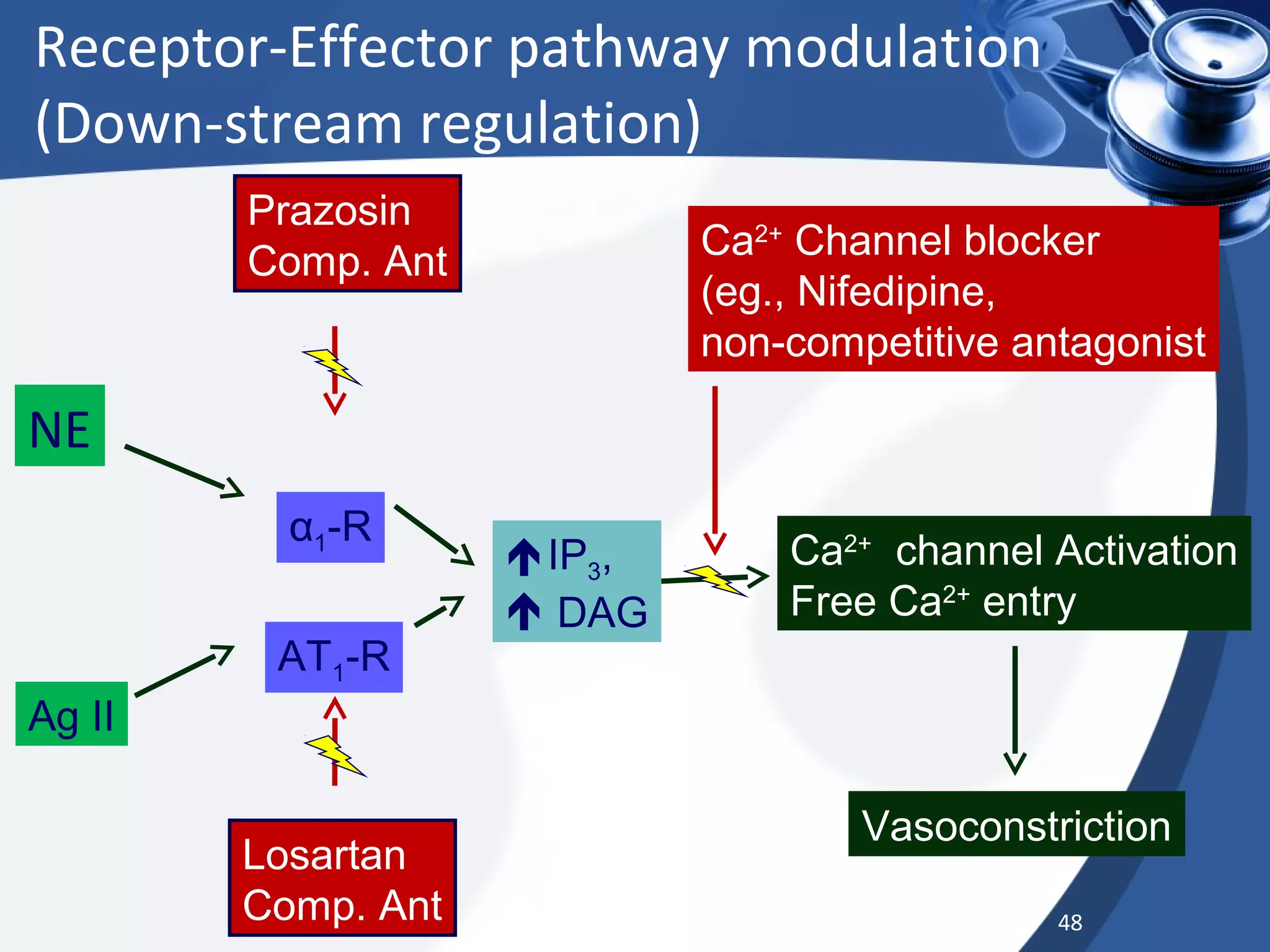 Combined effects of Drugs, Pharmacology | PPT