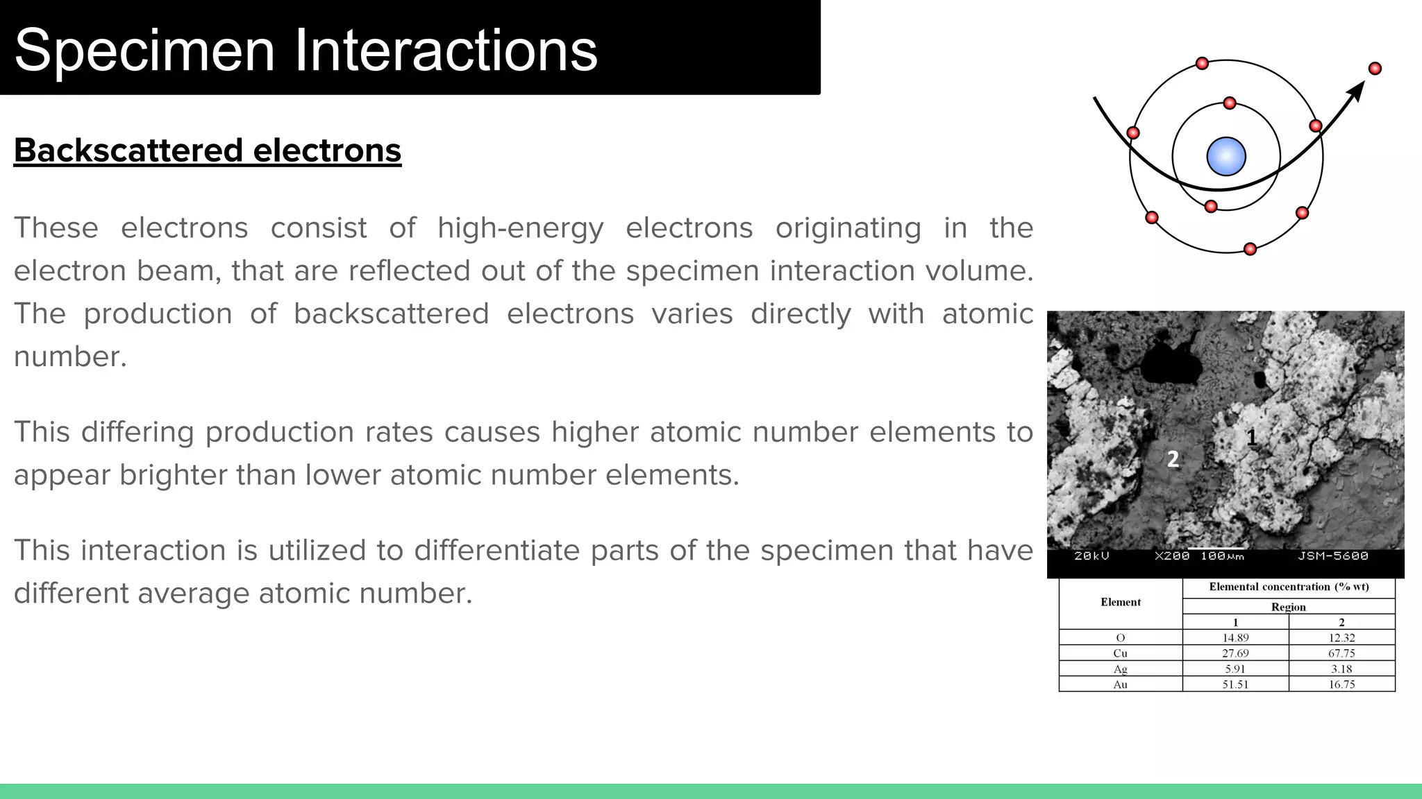 Scanning And Transmission Electron Microscopy Pdf