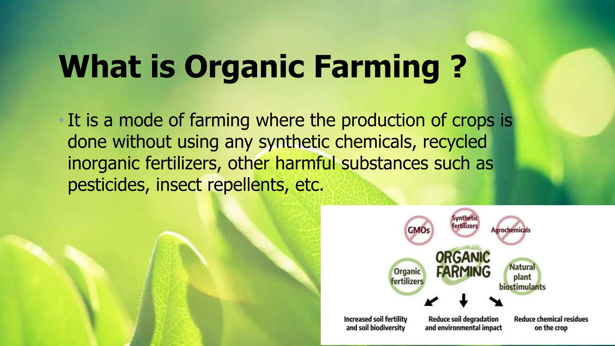 organic_farming in Practice in INDIA V/S GLOBAL | PPT