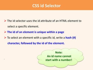 Web Designing | PPTX