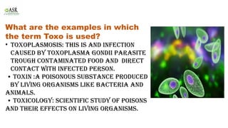 Anatomical prefixes:toxo and uro by D.Anitha Chandini | PPT