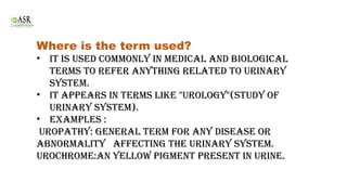 Anatomical prefixes: toxo and uro by D.anitha chandini | PPTX