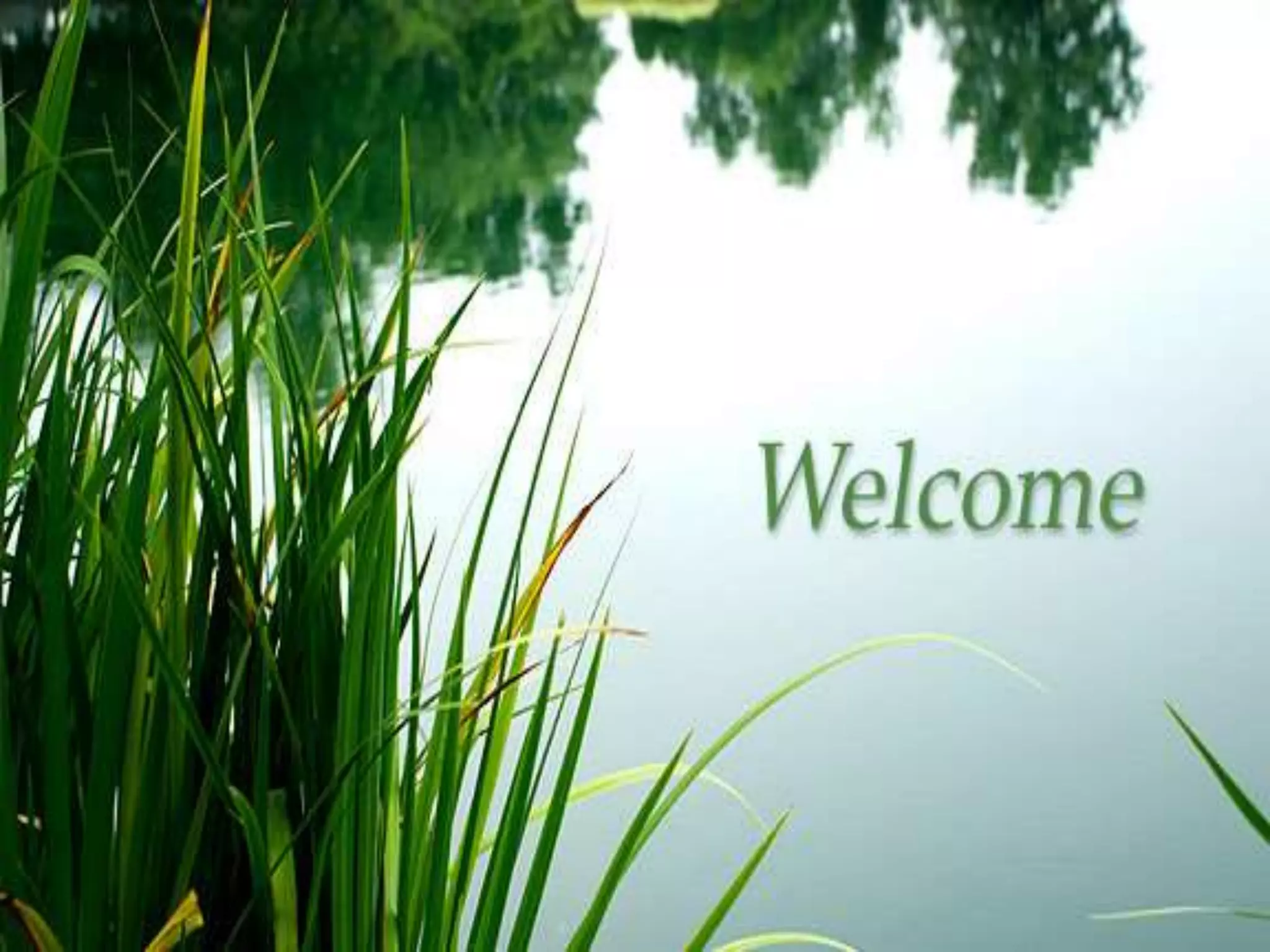 production of double haploid plants | PPTX