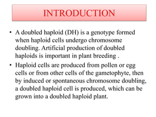 production of double haploid plants | PPTX