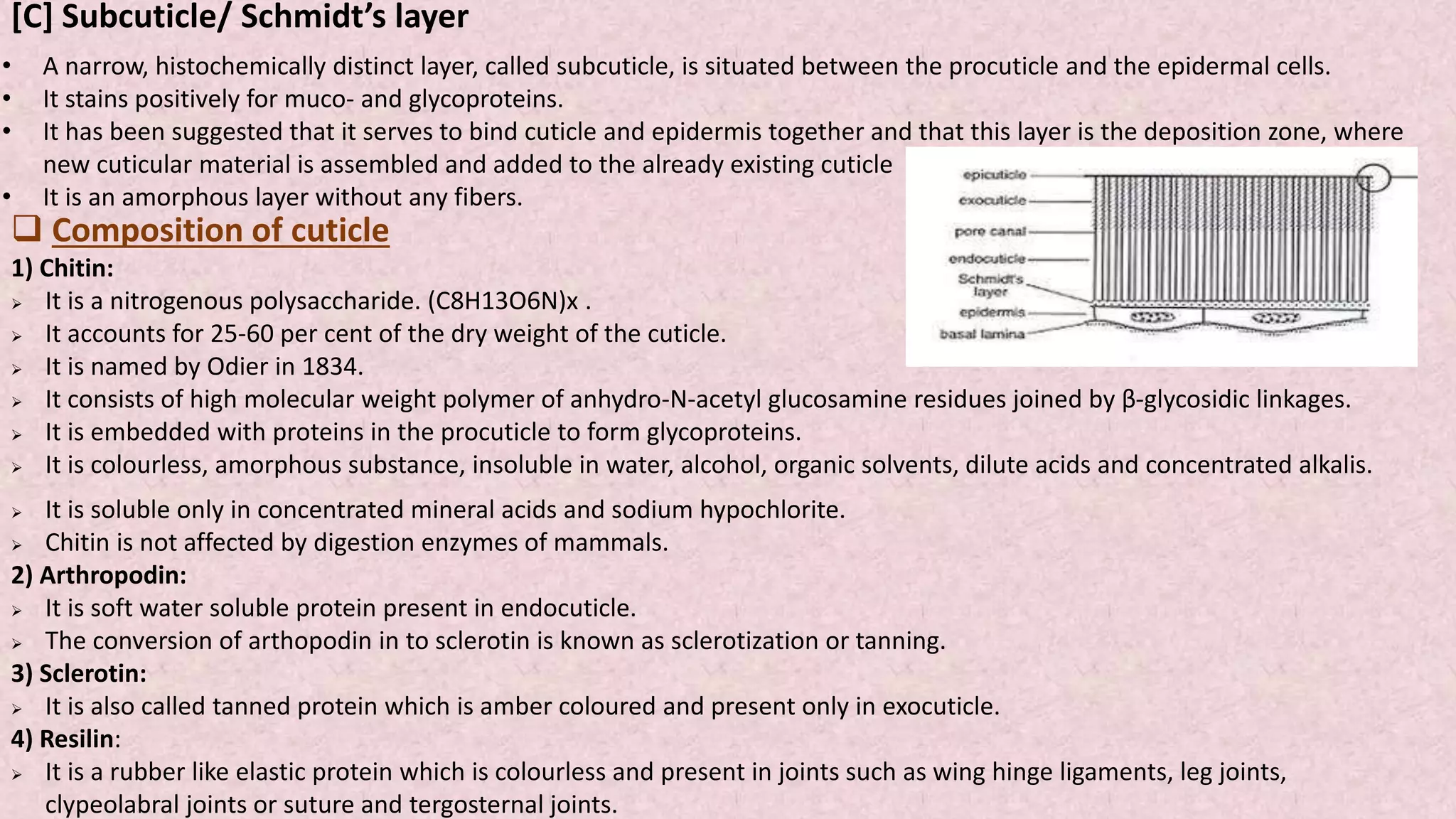 Insect body wall: It’s structure,cuticular outgrowth, colouration and ...
