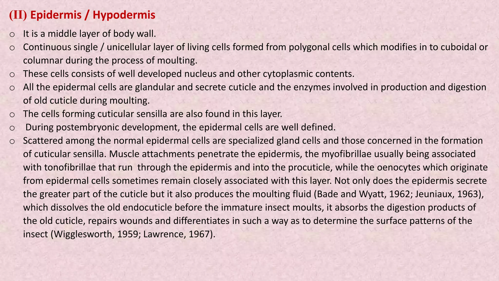 Insect body wall: It’s structure,cuticular outgrowth, colouration and ...