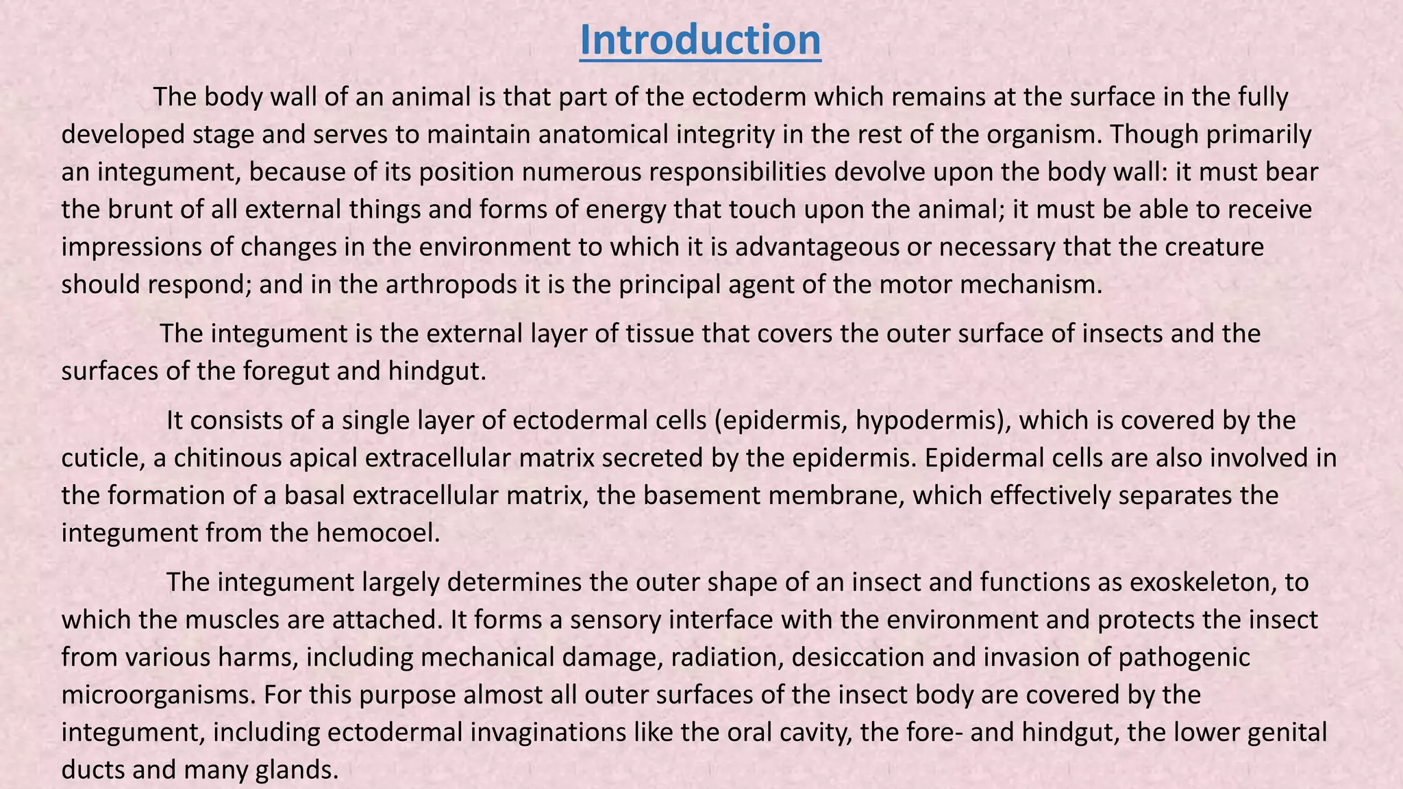 Insect body wall: It’s structure,cuticular outgrowth, colouration and ...
