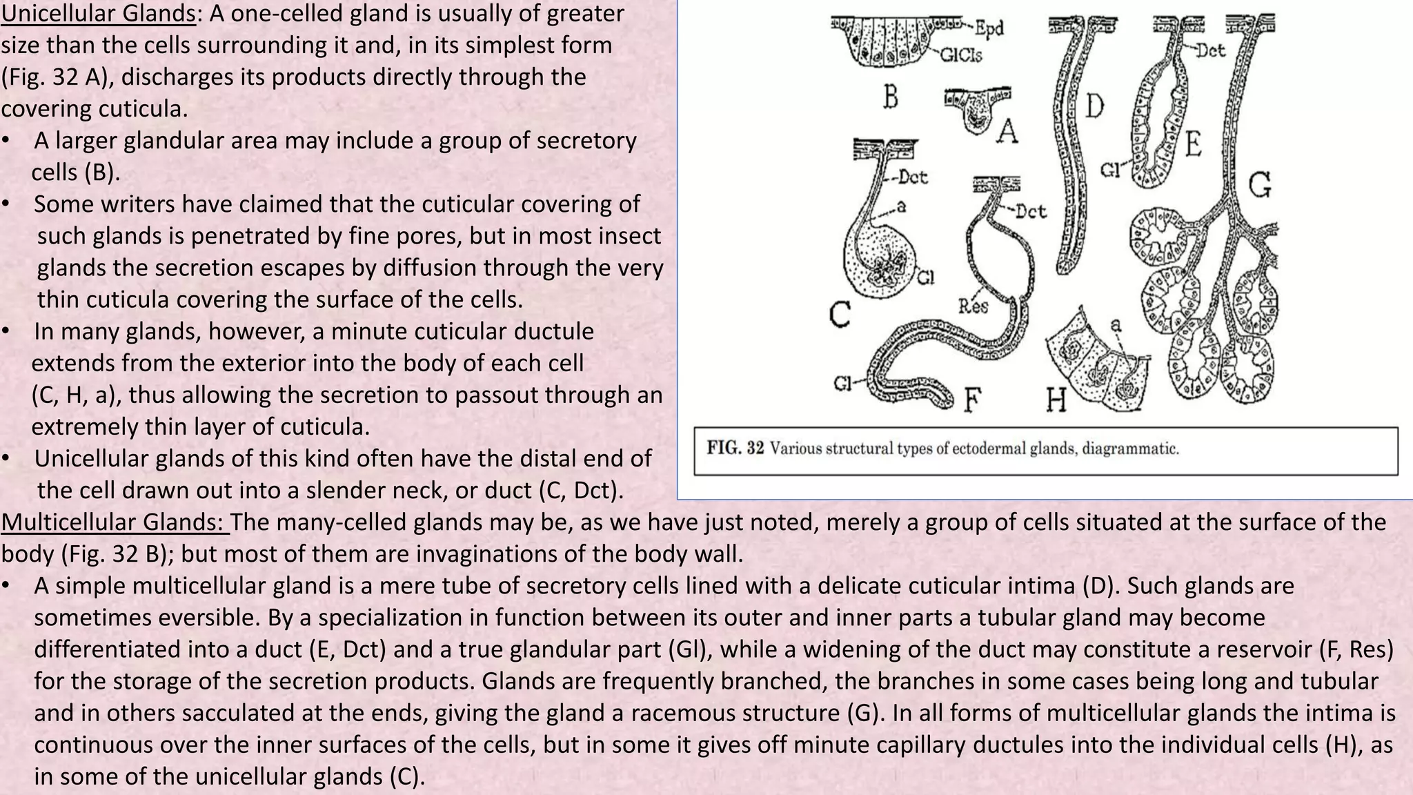 Insect body wall: It’s structure,cuticular outgrowth, colouration and special integumentary ...