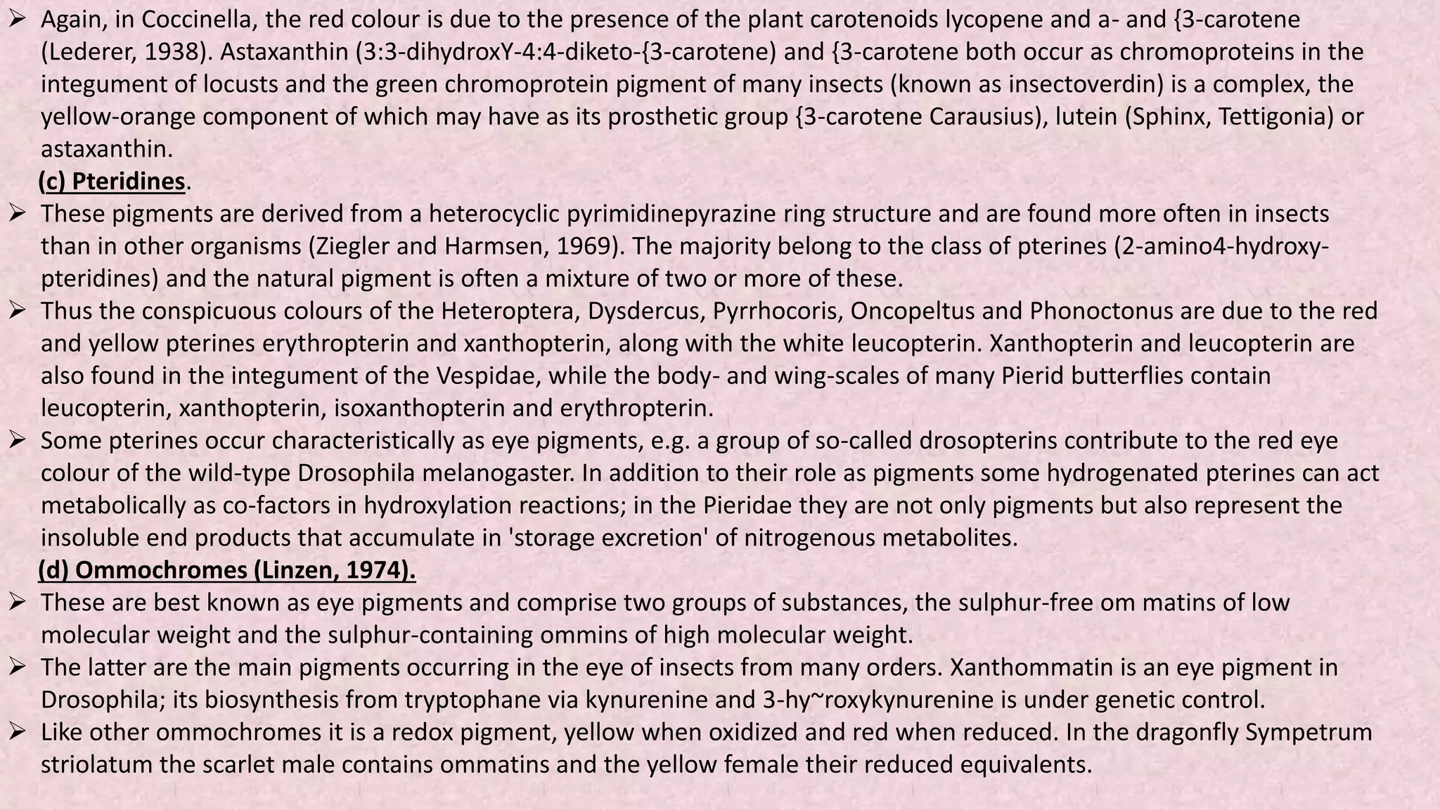 Insect body wall: It’s structure,cuticular outgrowth, colouration and ...