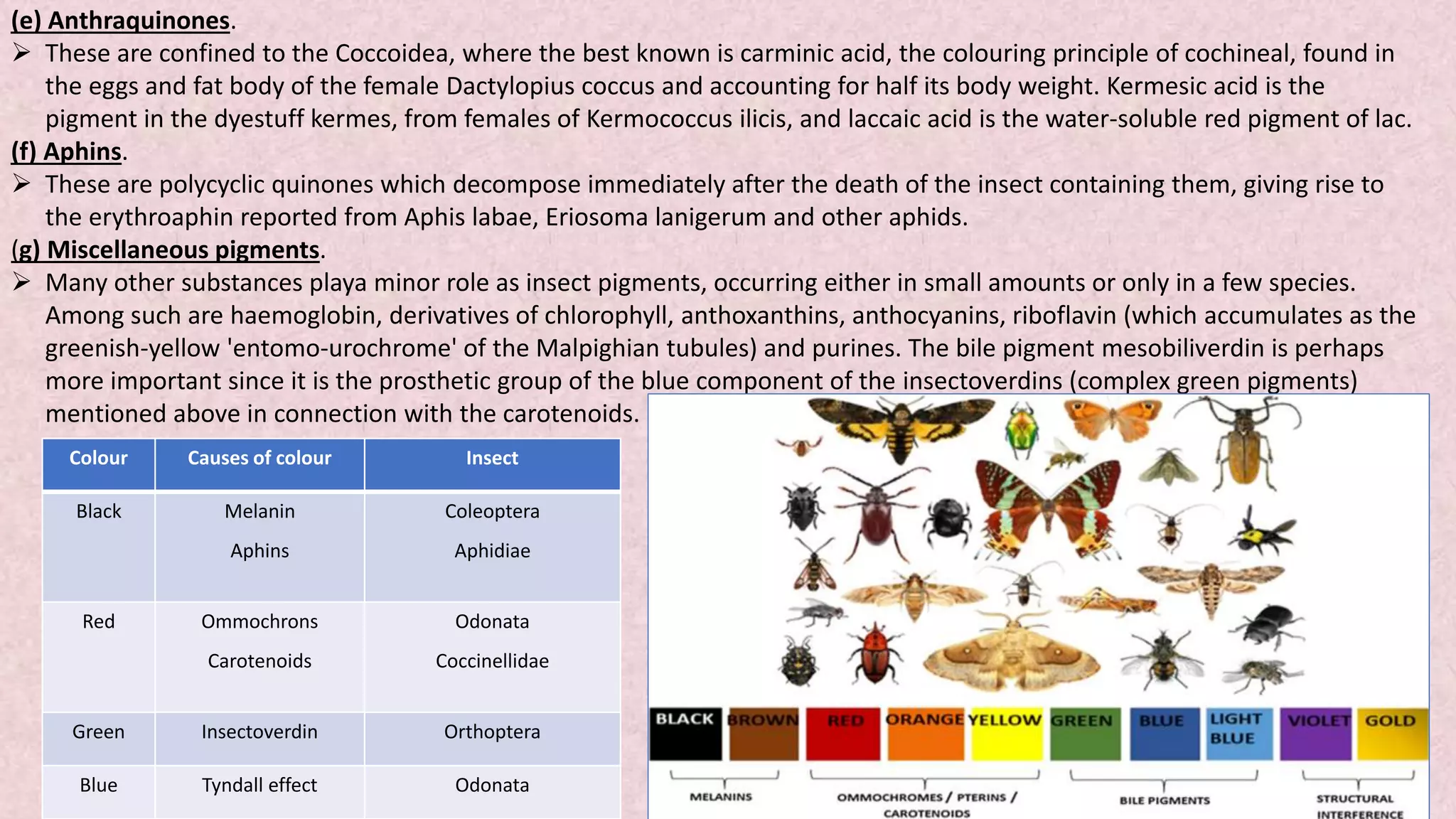 Insect body wall: It’s structure,cuticular outgrowth, colouration and ...