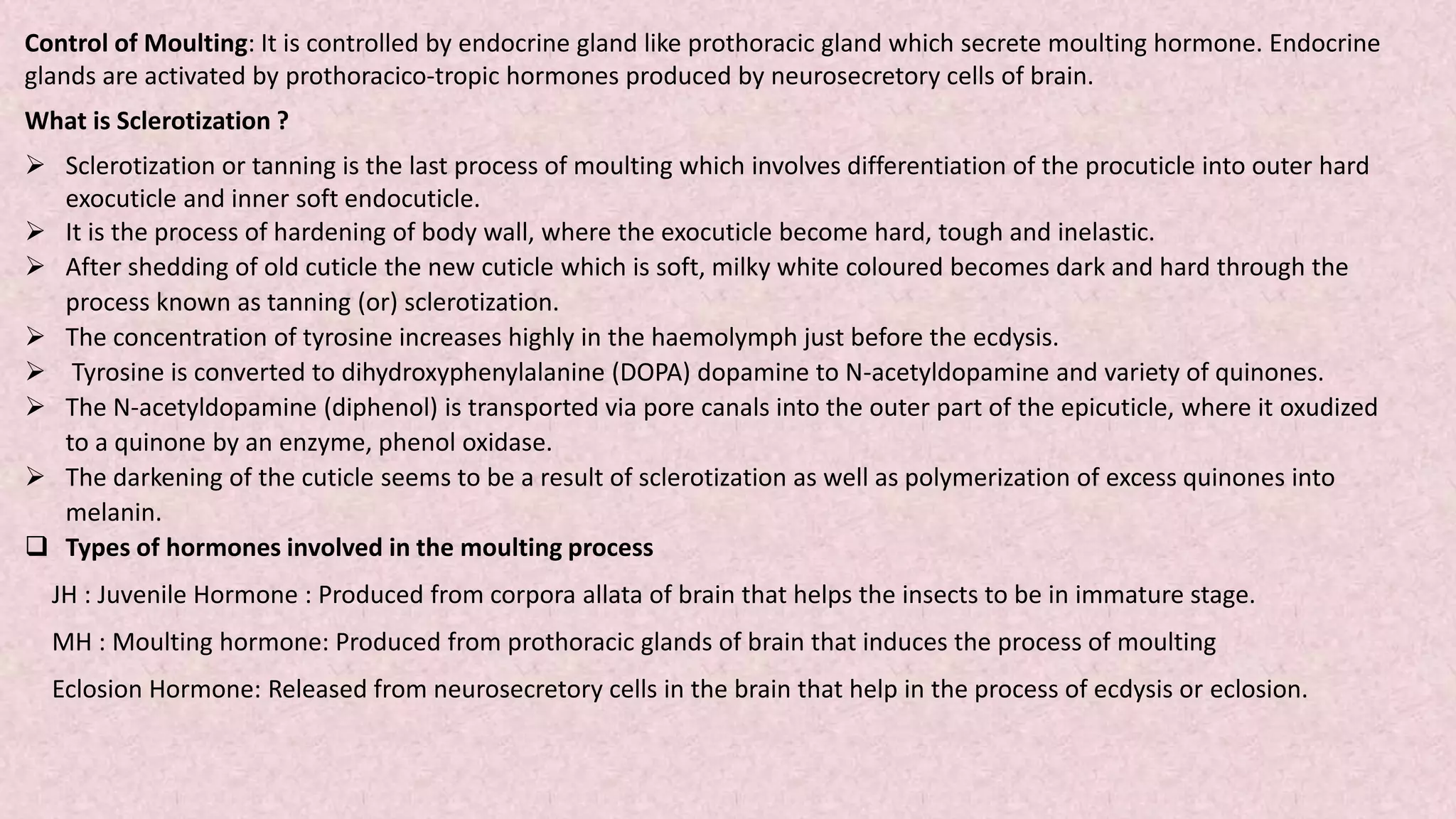 Insect body wall: It’s structure,cuticular outgrowth, colouration and ...