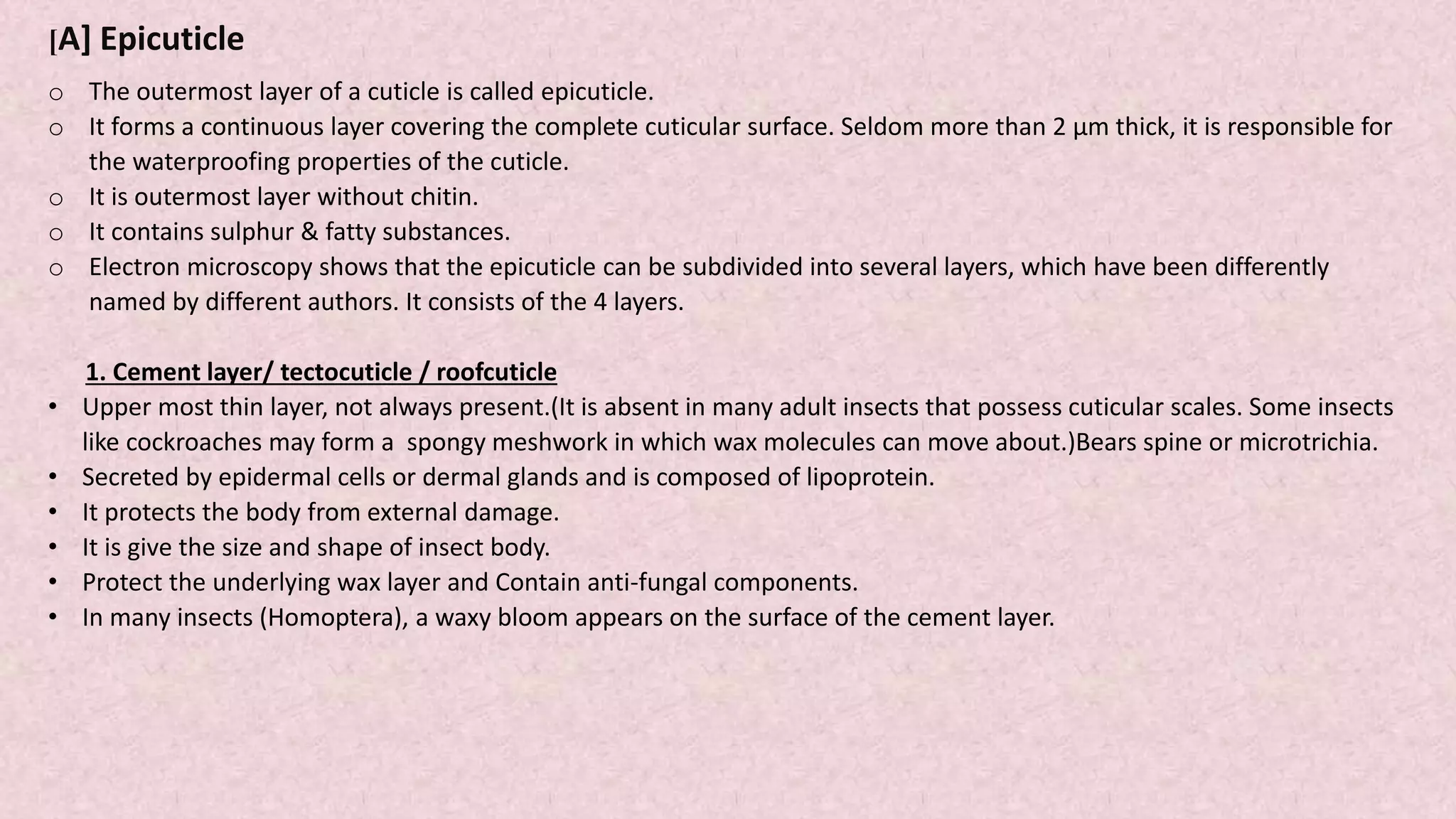 Insect body wall: It’s structure,cuticular outgrowth, colouration and ...