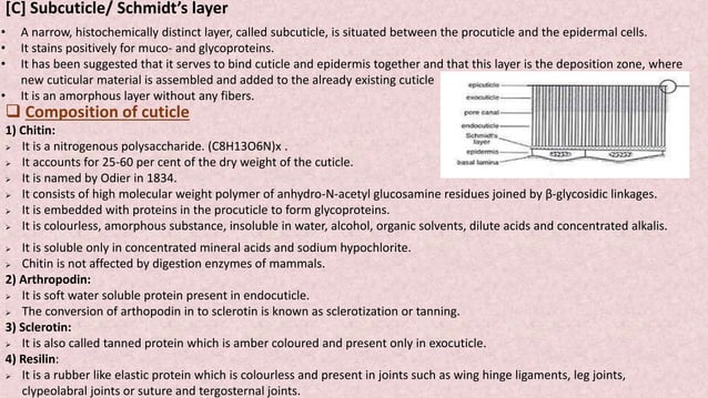 Insect body wall: It’s structure,cuticular outgrowth, colouration and ...