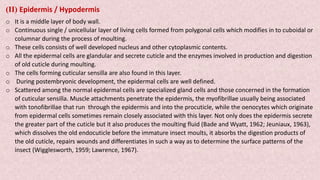 Insect body wall: It’s structure,cuticular outgrowth, colouration and ...