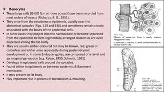 Insect body wall: It’s structure,cuticular outgrowth, colouration and ...