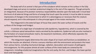 Insect body wall: It’s structure,cuticular outgrowth, colouration and ...