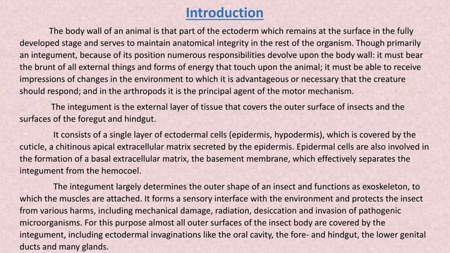 Insect body wall: It’s structure,cuticular outgrowth, colouration and ...